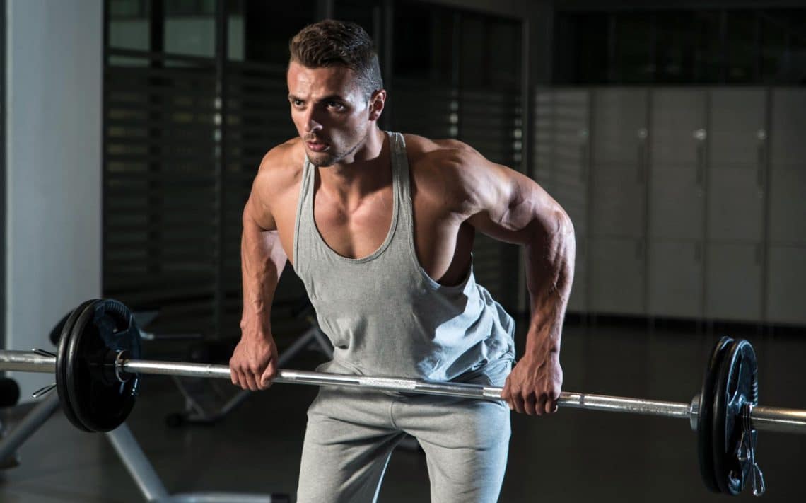 Effective Multifidus Exercises for Stronger Back Stability – Fitness Volt