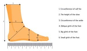 Average Ankle Size For Men and Women – Fitness Volt