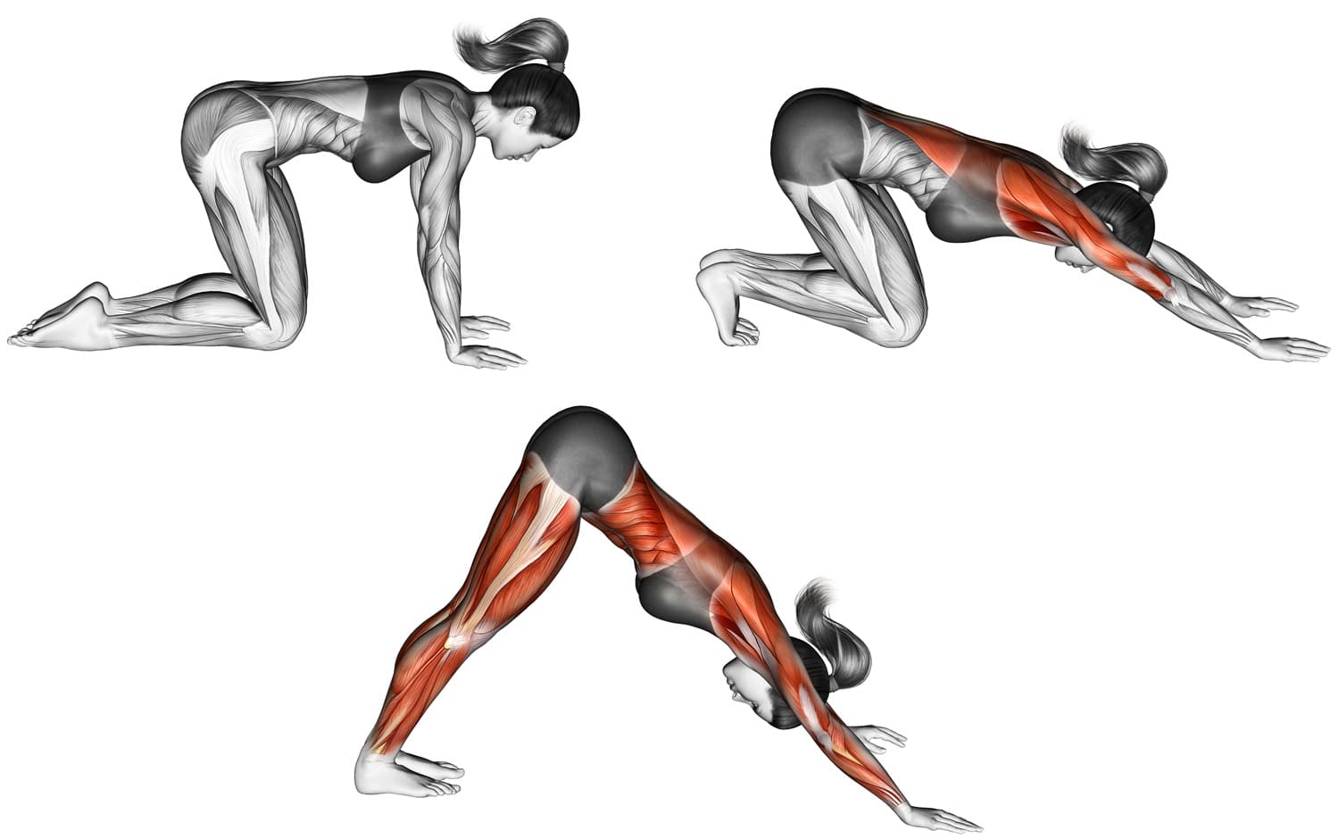 Master Downward Facing Dog: Strengthen Key Muscle Groups – Fitness Volt