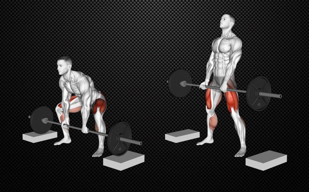 Ultimate Upper Back Exercises for Strength Training – Fitness Volt