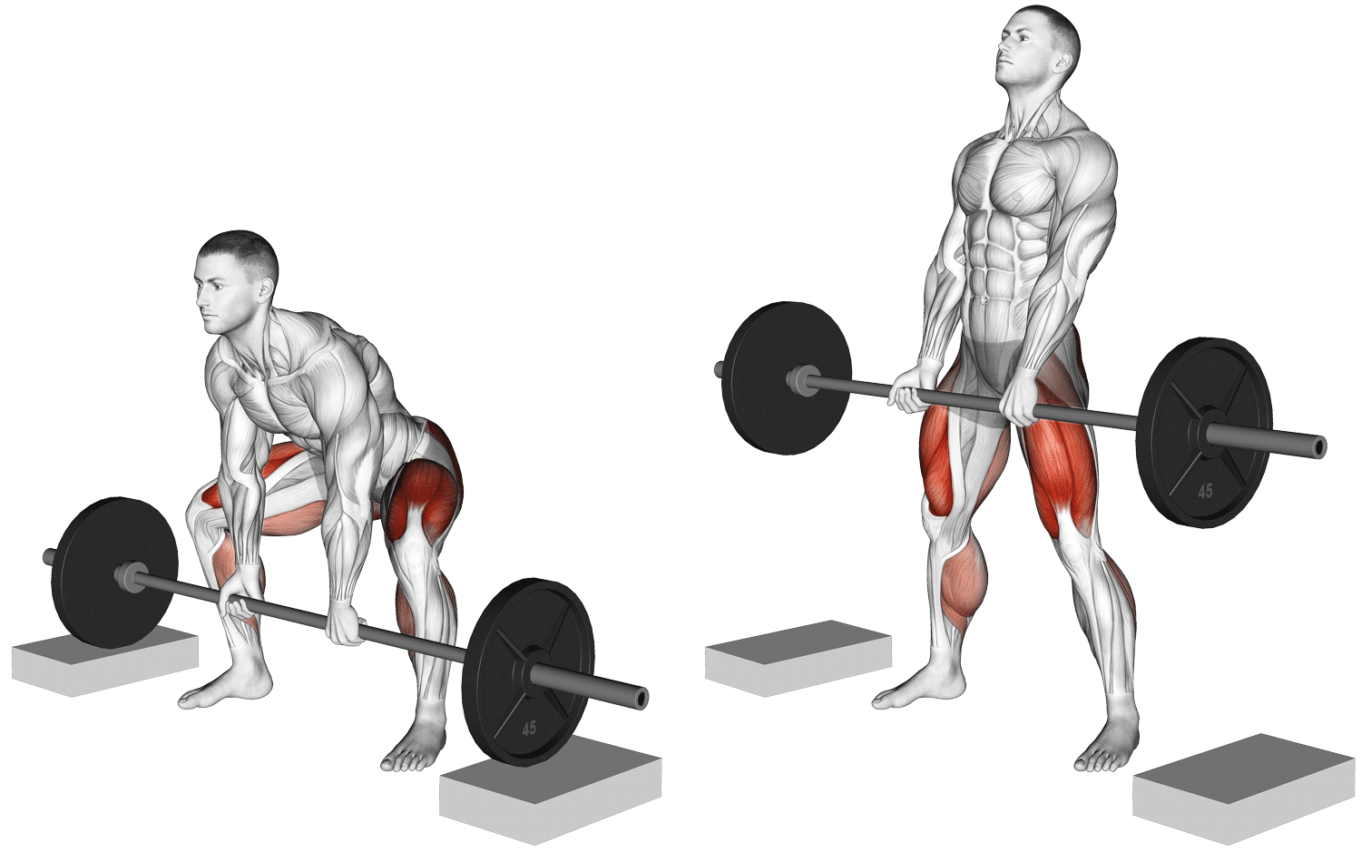 Unlock Strength: Block Pulls for Hamstrings & Back Power – Fitness Volt