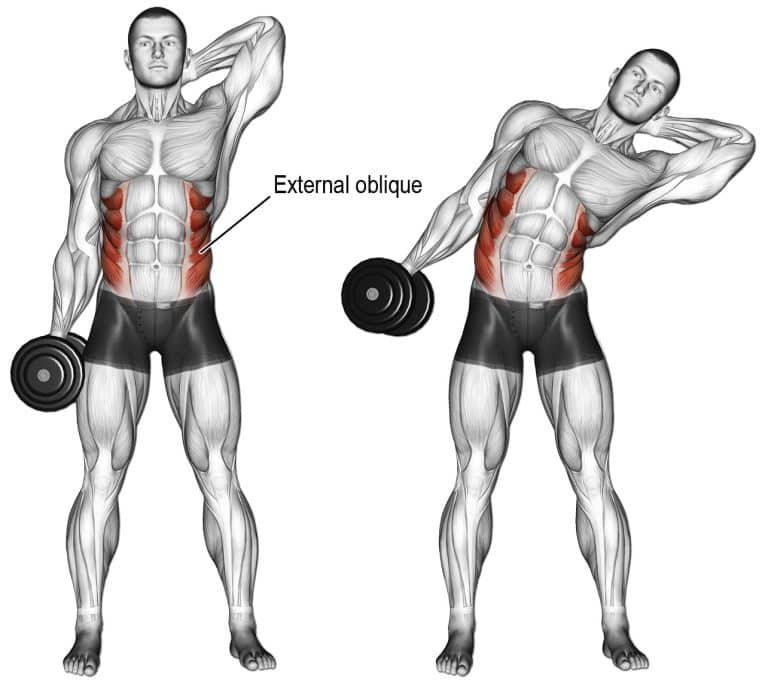 10 Best Core Exercises For Beginners (Killer Workout Included)