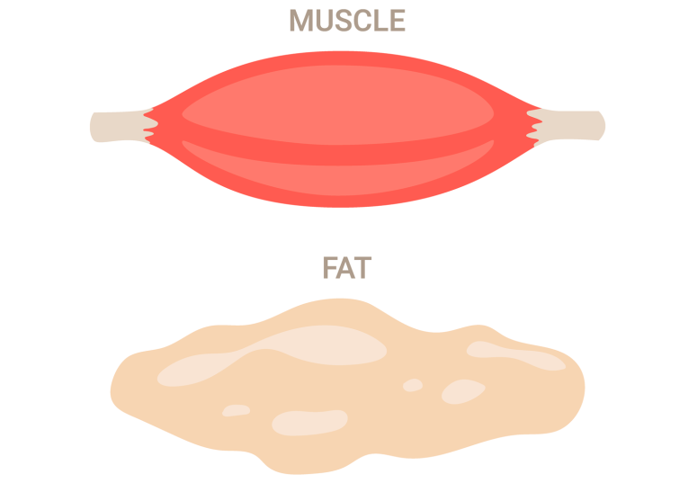 Fat vs. Muscle Weight: How to Tell the Difference – Fitness Volt