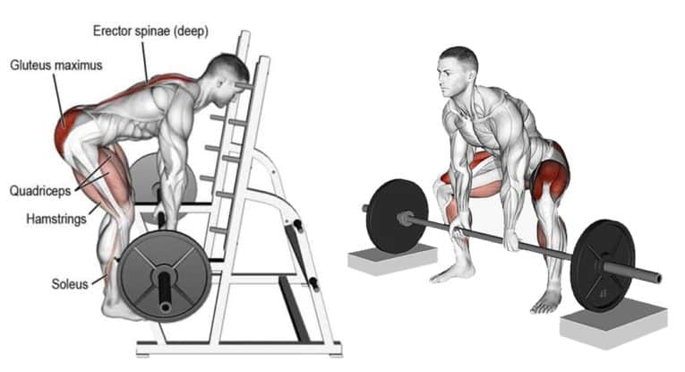 Partial Deadlifts vs. Full Deadlifts – Which One Should You Do ...