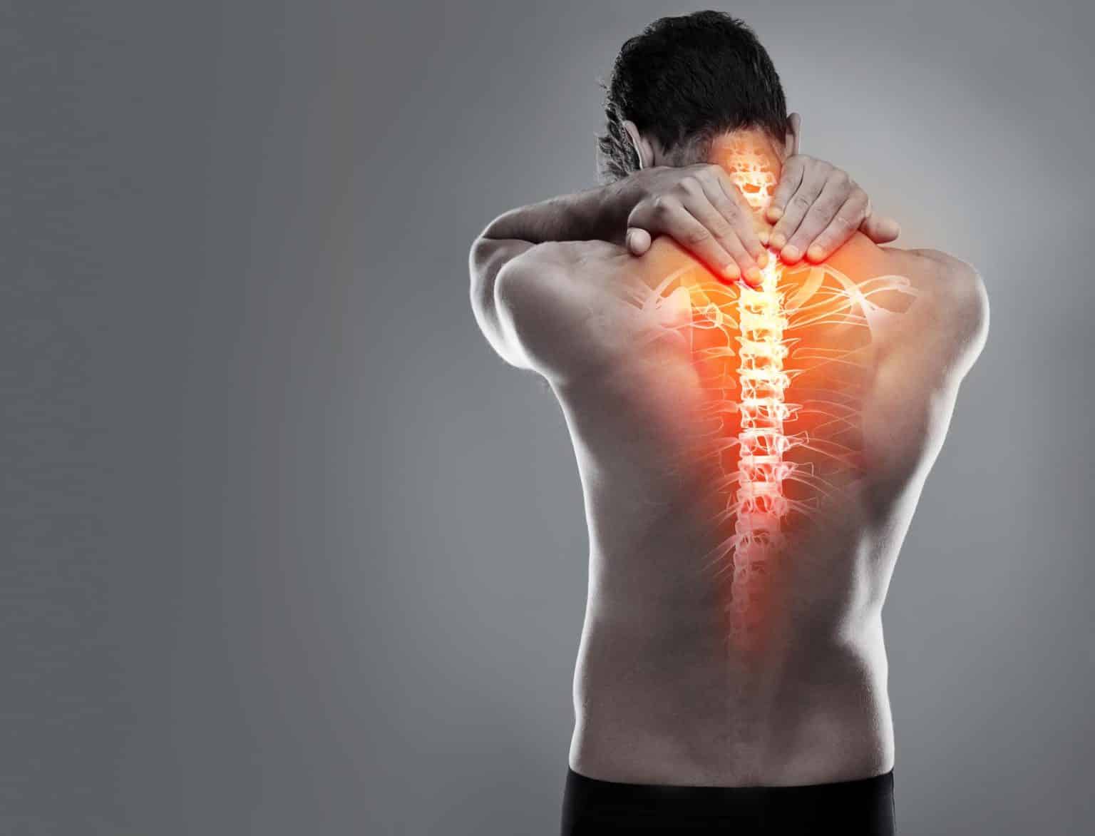 15 Best Anti-Core Exercises for Increased Lumbar Stability – Fitness Volt