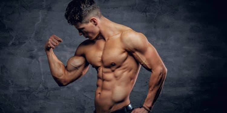 Workout Plans Archives – Page 3 of 15 – Fitness Volt