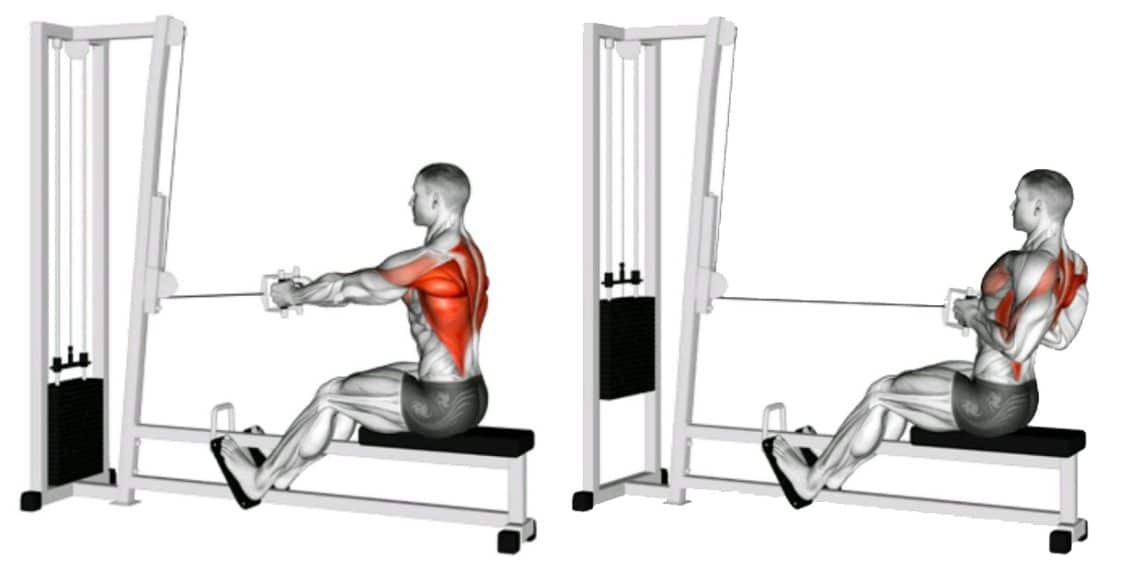 Cable Close Grip Seated Row Guide: Muscles Worked, How-To, Benefits ...