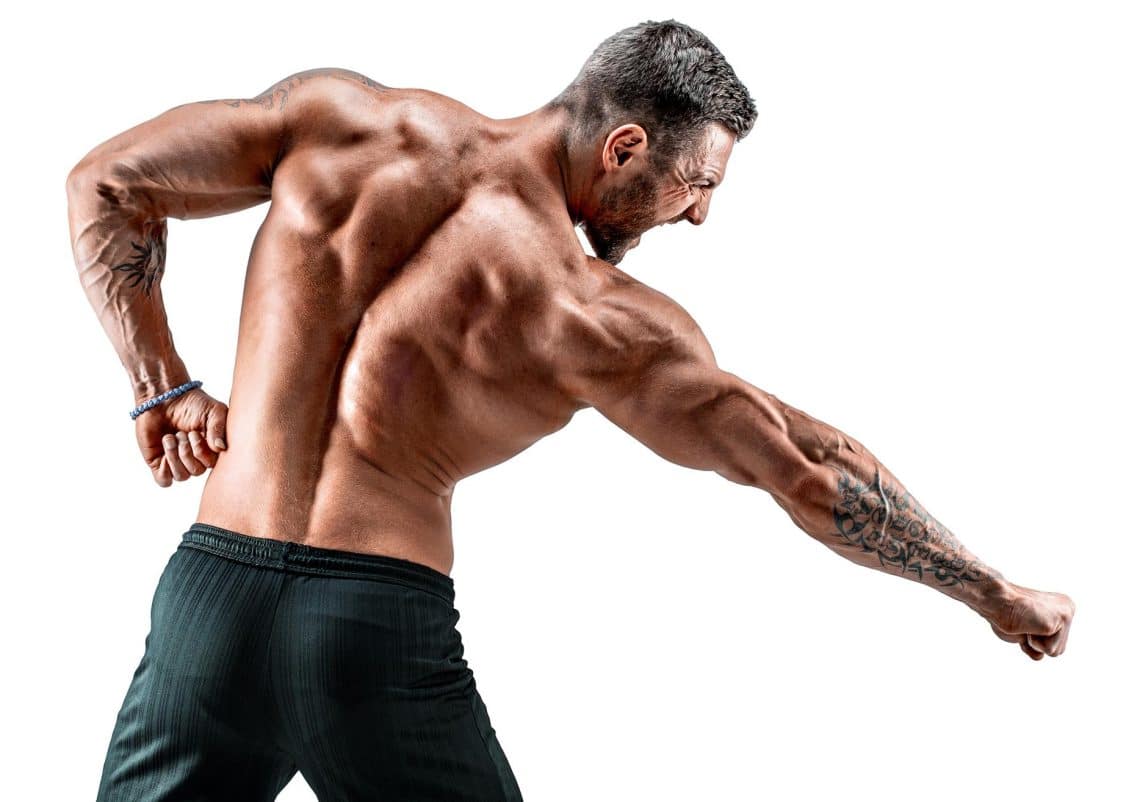 2 Back and Triceps Workouts For Building an Insane Physique
