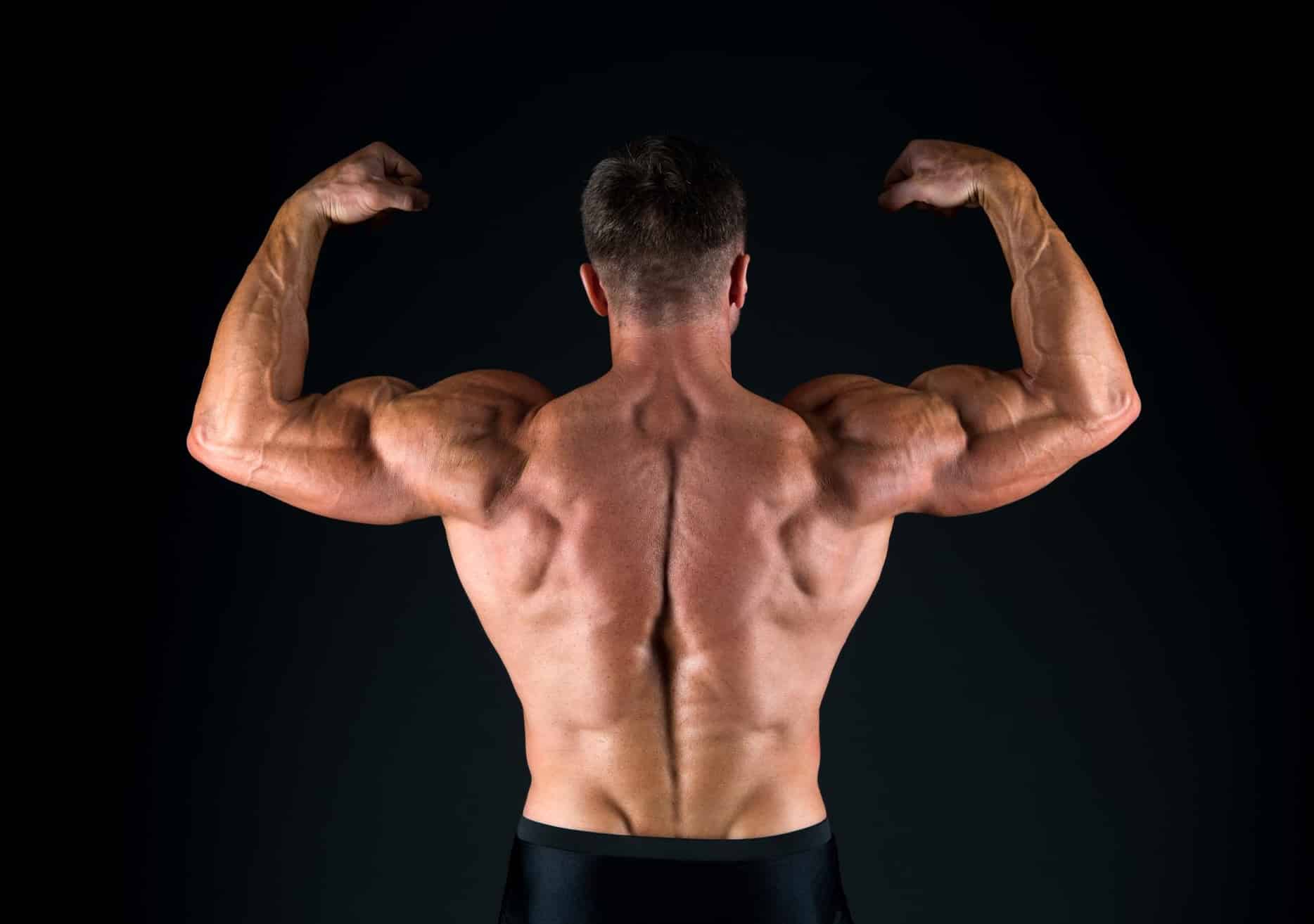 2 Back and Triceps Workouts For Building an Insane Physique