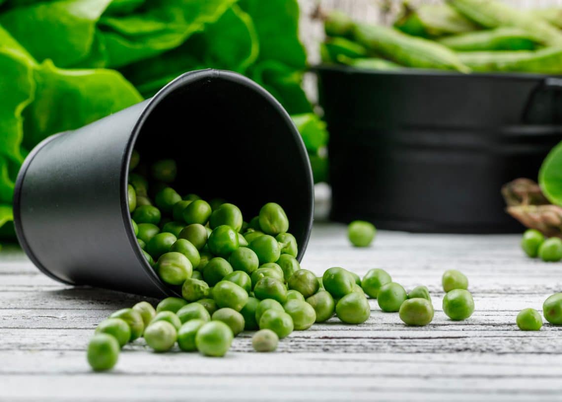 15 Best Foods to Eat on a Cut: Unveiling Fat Loss Secrets – Fitness Volt