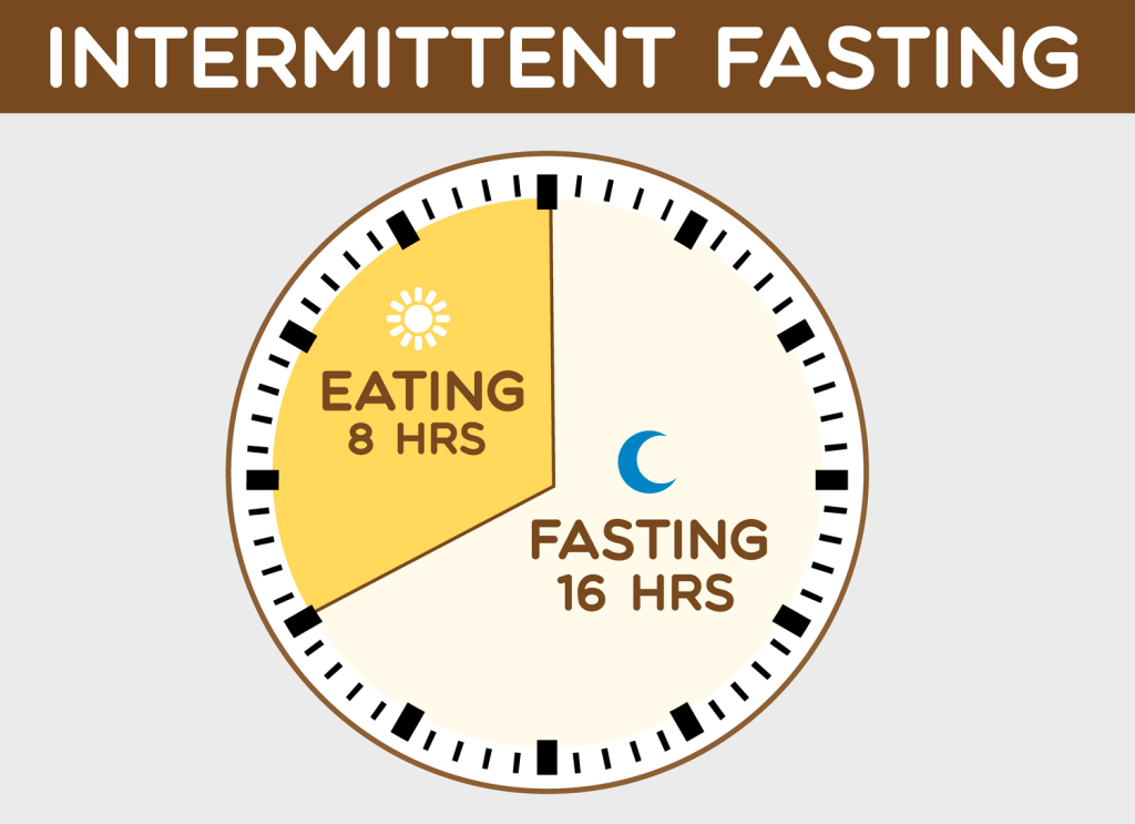 How Often Should You Fast? A Guide To Maximum Weight Loss Results