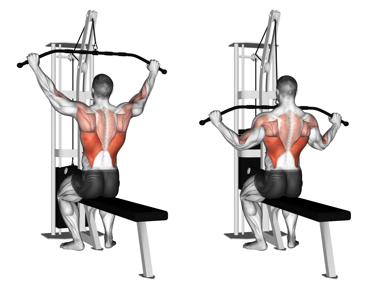 Lat Pulldown Guide: Muscles Worked, How-To, Benefits, and Different ...