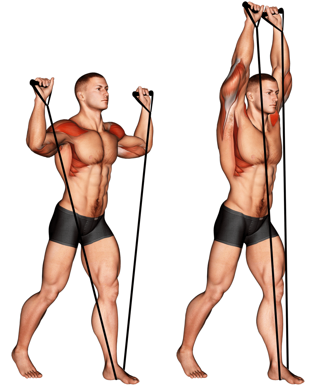 Band Shoulder Press: Build Strong Deltoids & Triceps Today! – Fitness Volt