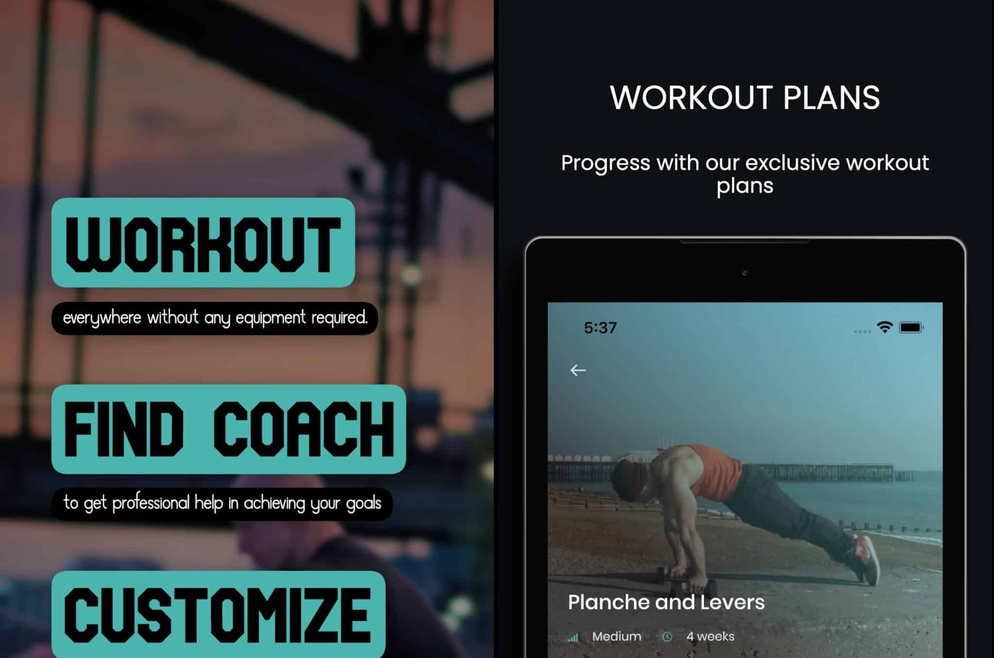 The 11 Best FREE Calisthenics Programs – Fitness Volt
