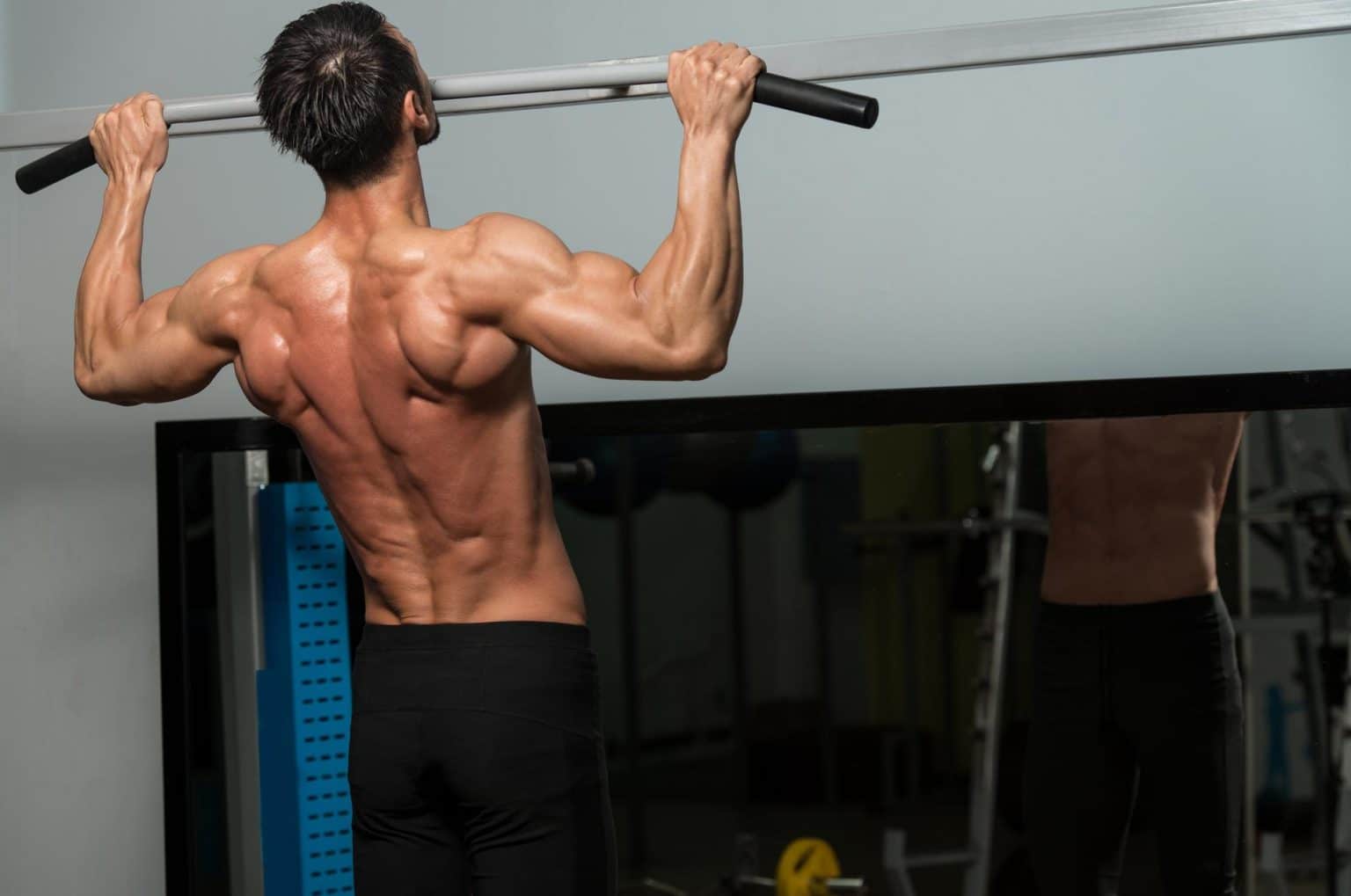Grease the Groove Pull-Ups — The Ultimate Guide – Fitness Volt