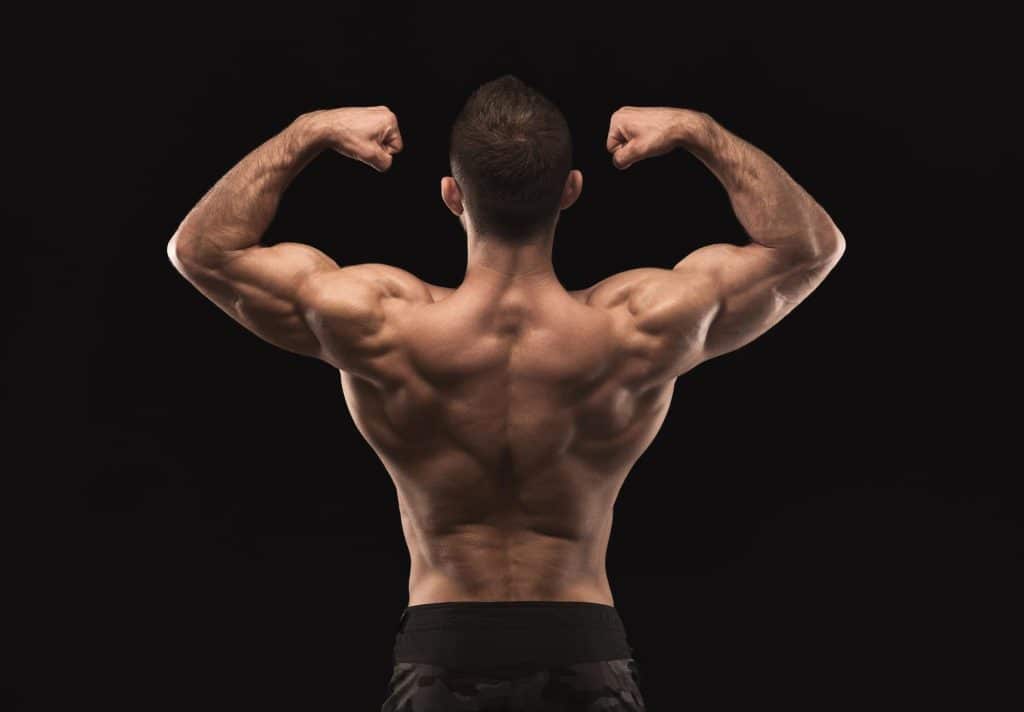 15 Best Back Exercises For Bigger, Stronger And Pain-Free Back