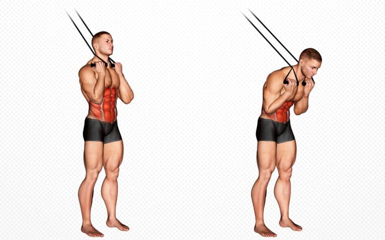 Effective Transverse Abdominis Exercises for Core Strength – Fitness Volt