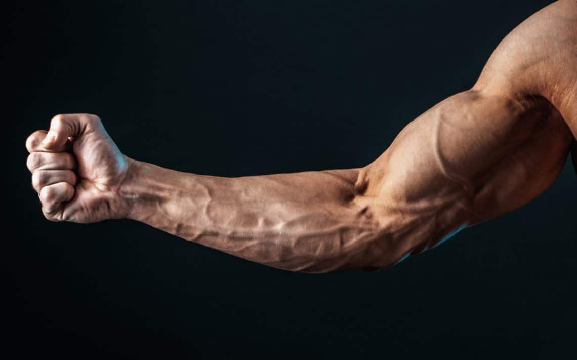 The 30-Day Forearm Challenge That Boosted My Grip Instantly – Fitness Volt