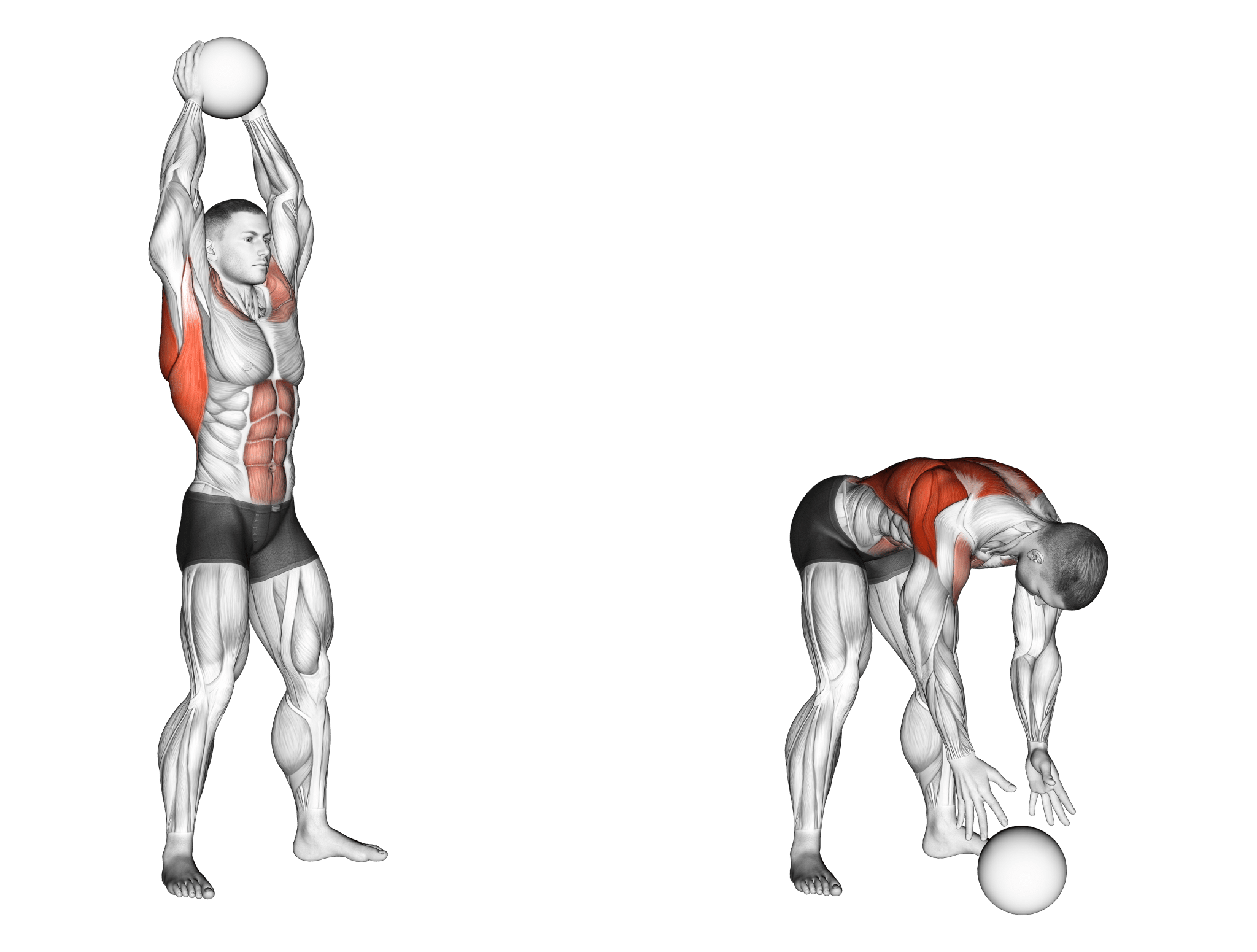 Hardest Gym Exercises: The Ultimate Guide – Fitness Volt