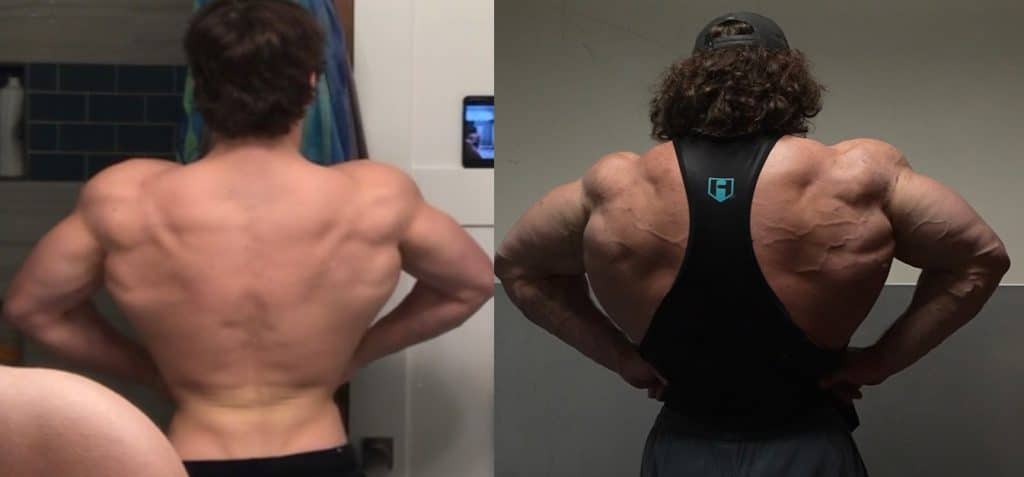 Sam Sulek: The Aspiring Bodybuilder Taking the Fitness World by Storm ...