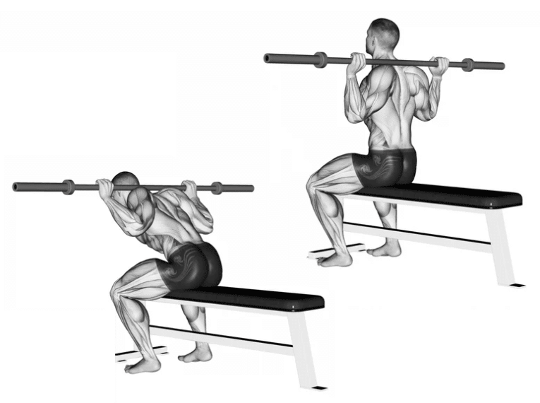 How to Do Seated Good Morning: Tips, and Alternatives – Fitness Volt