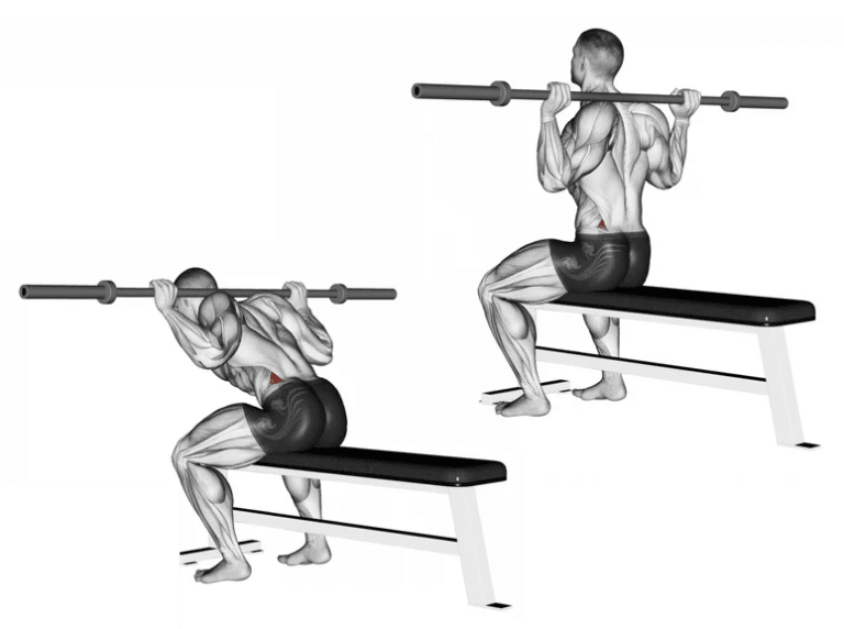 How to Do Seated Good Morning: Tips, and Alternatives – Fitness Volt