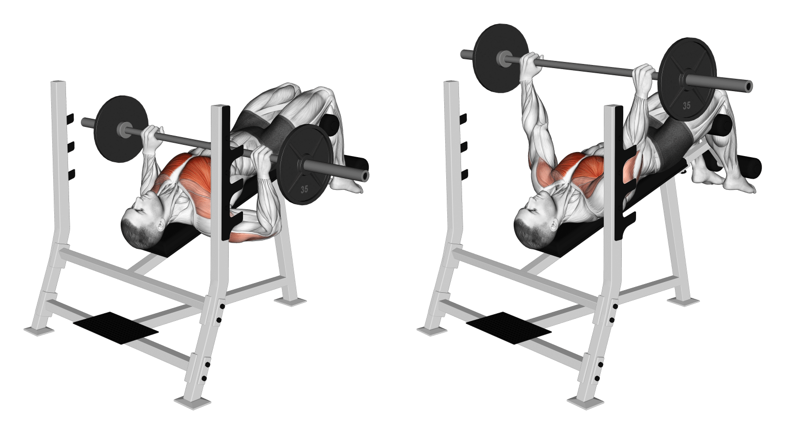 Flat Vs. Incline Vs. Decline Bench Press: Which Should You Do ...