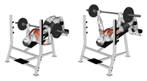 Flat Vs. Incline Vs. Decline Bench Press: Which Should You Do ...