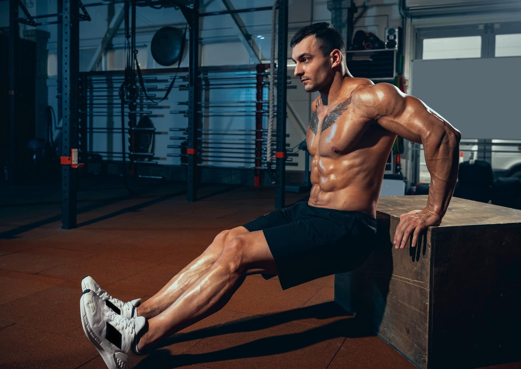 The Hybrid Athlete Program: Fit for Everything – Fitness Volt