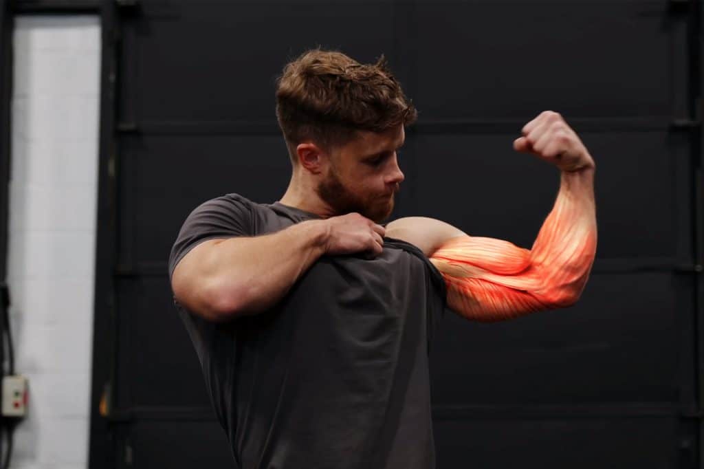 Natural Bodybuilder Jeff Nippard Explains The Benefits of Long-Length ...