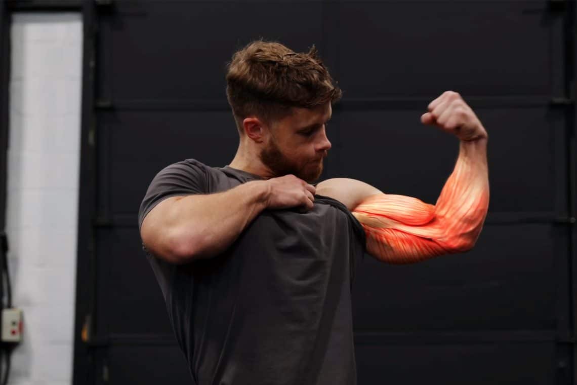 Natural Bodybuilder Jeff Nippard Explains The Benefits of Long-Length ...