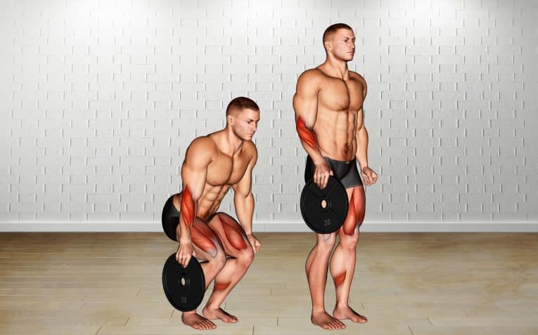 Ultimate Forearm Extensors Exercises for Strength Training – Fitness Volt