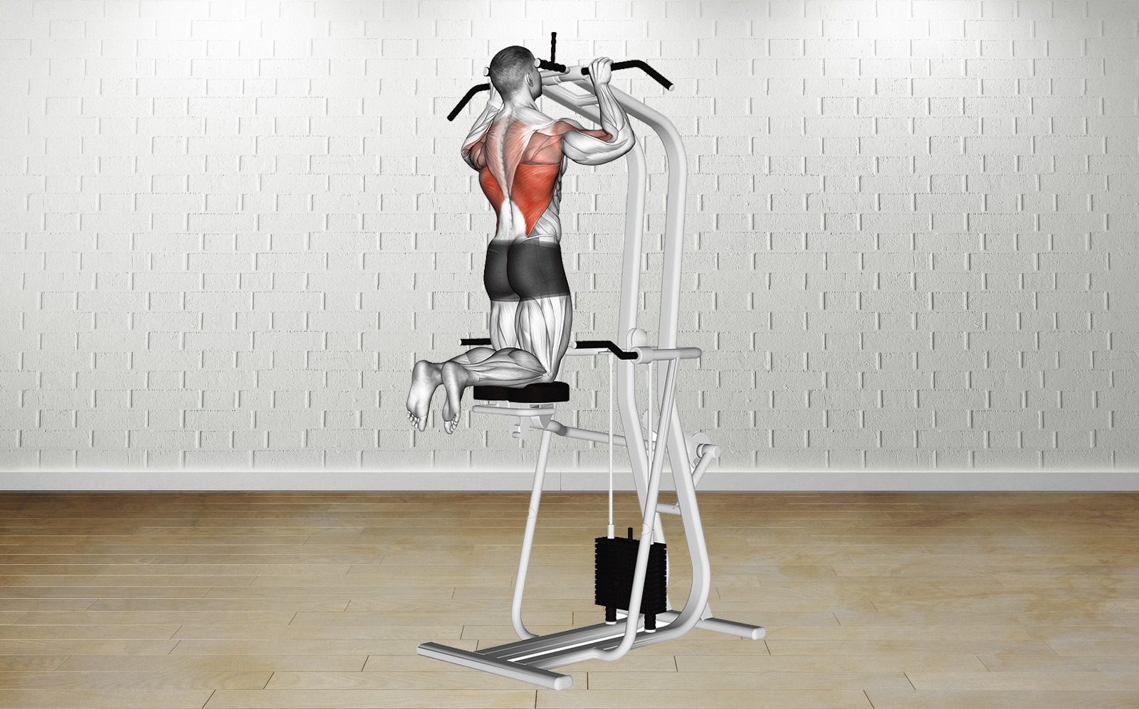 Master Assisted Pull‑Ups: Build Powerful Lats Effortlessly – Fitness Volt