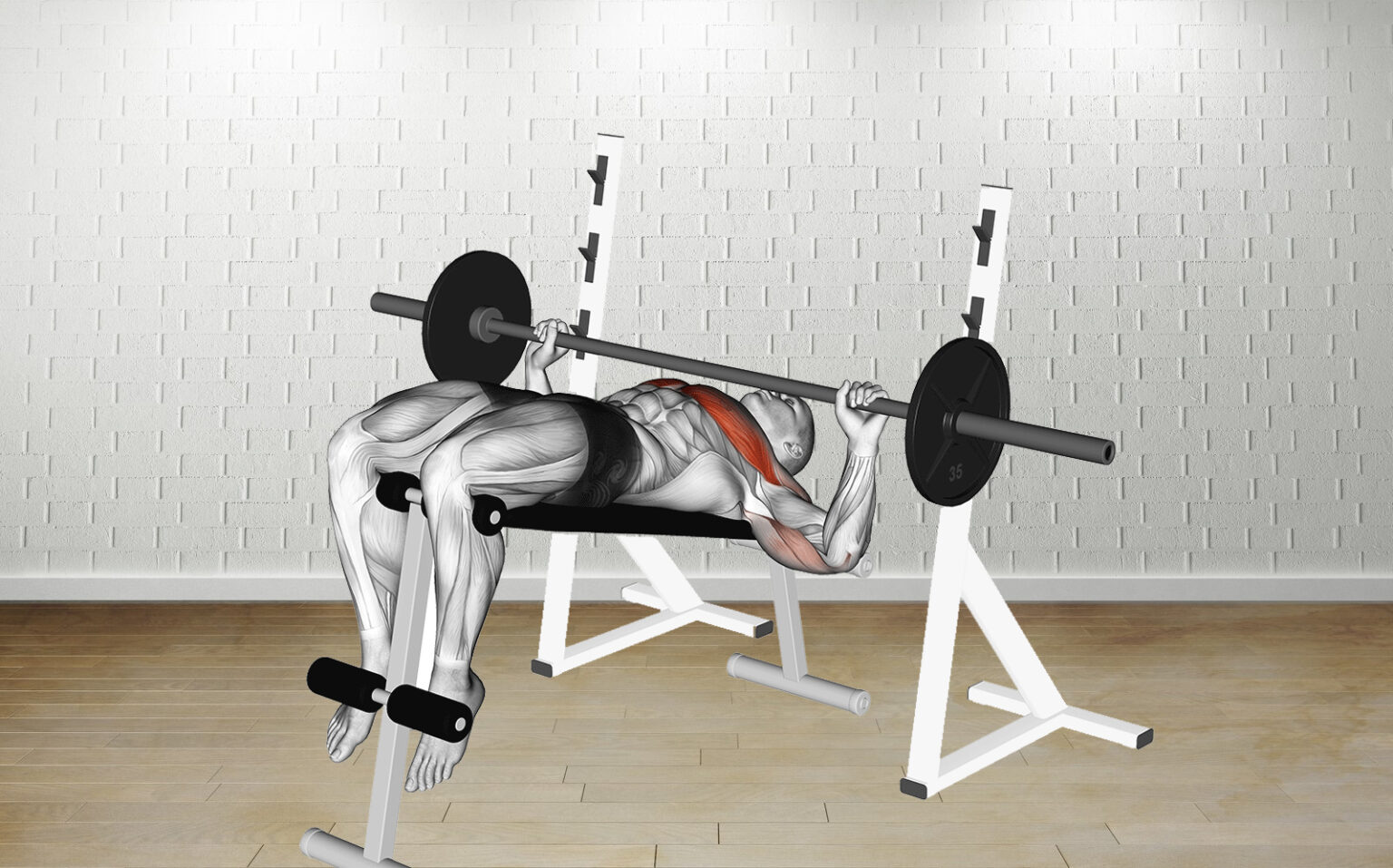 Ultimate Pectoral Exercises for Powerful Chest Training – Fitness Volt