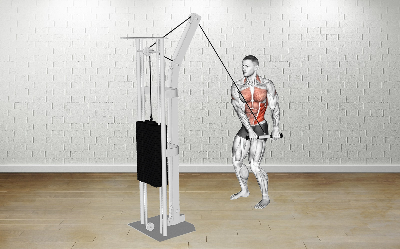 Thibaudeau Kayak Row Exercise to Build Strong Lats – Fitness Volt