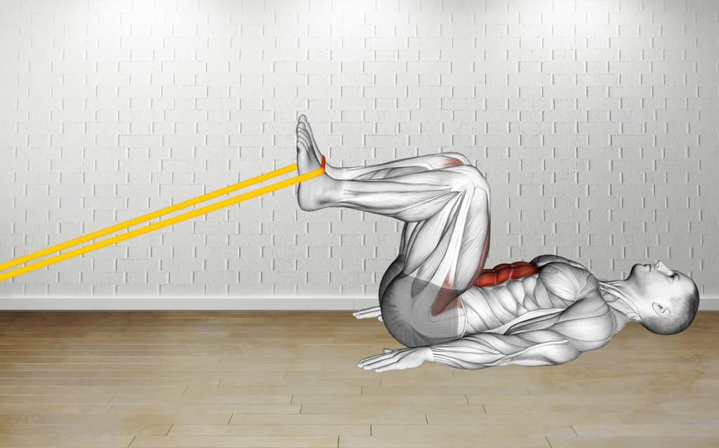 Ultimate Gluteus Maximus Exercises for Stronger Glutes – Fitness Volt