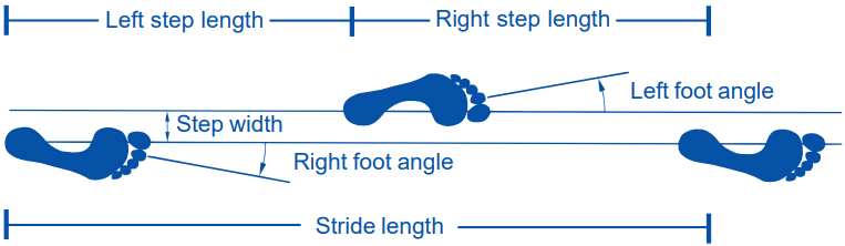 Average Stride Length in Running: Unlock Peak Running Performance