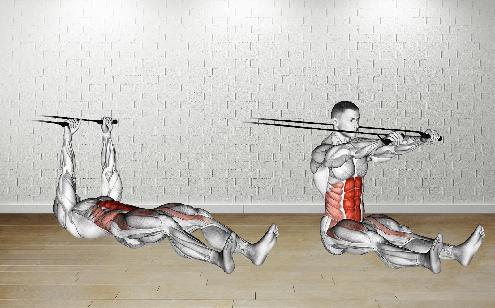 Band Push Sit-Ups: The Ultimate Core Exercise for Toned Abs – Fitness Volt
