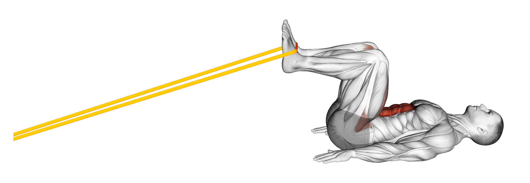 Unlock Strength: Master the Reverse Squat for Full Leg Power – Fitness Volt