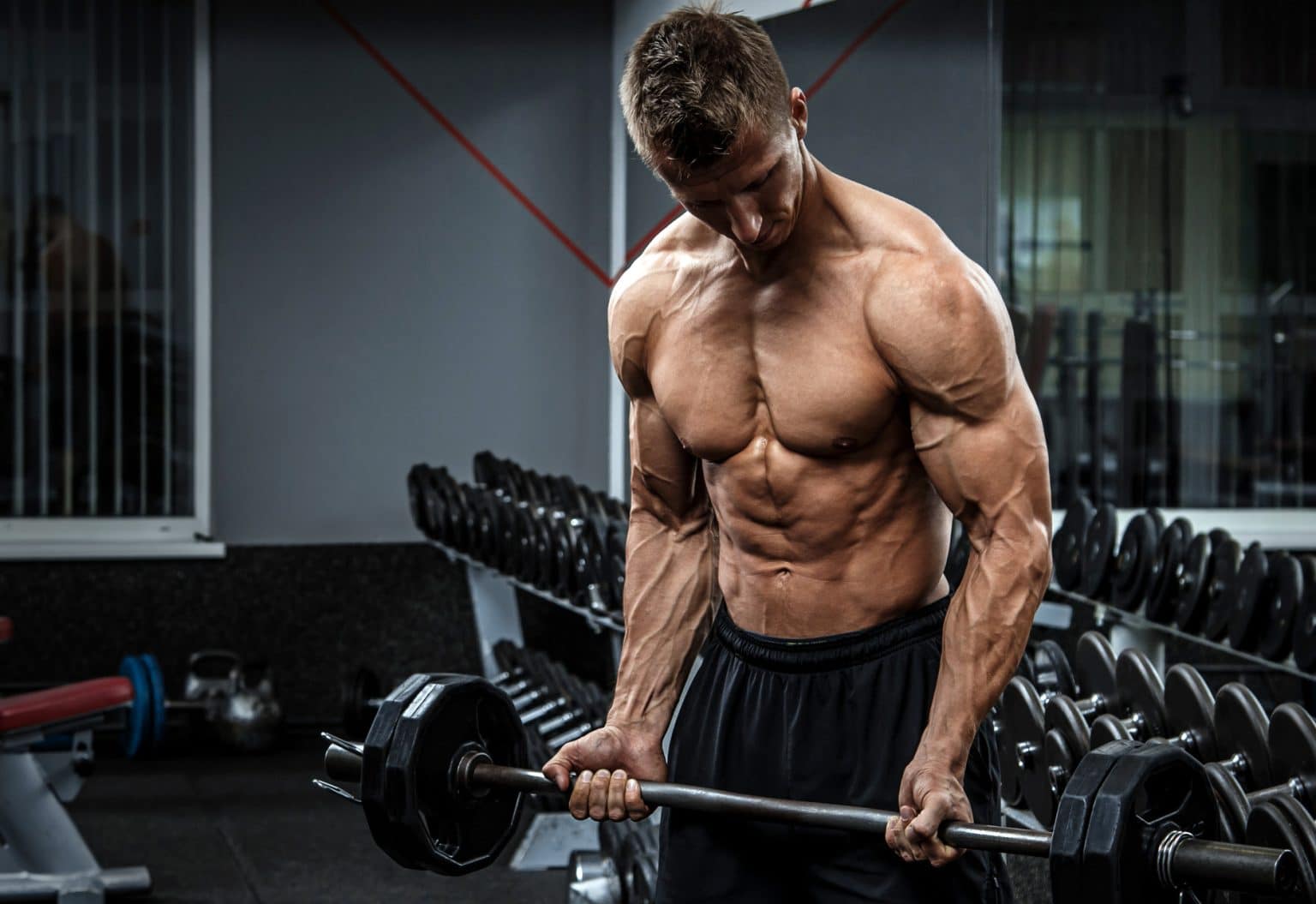 Unlock Your Gains: What's the Average Muscle Gain Per Month?