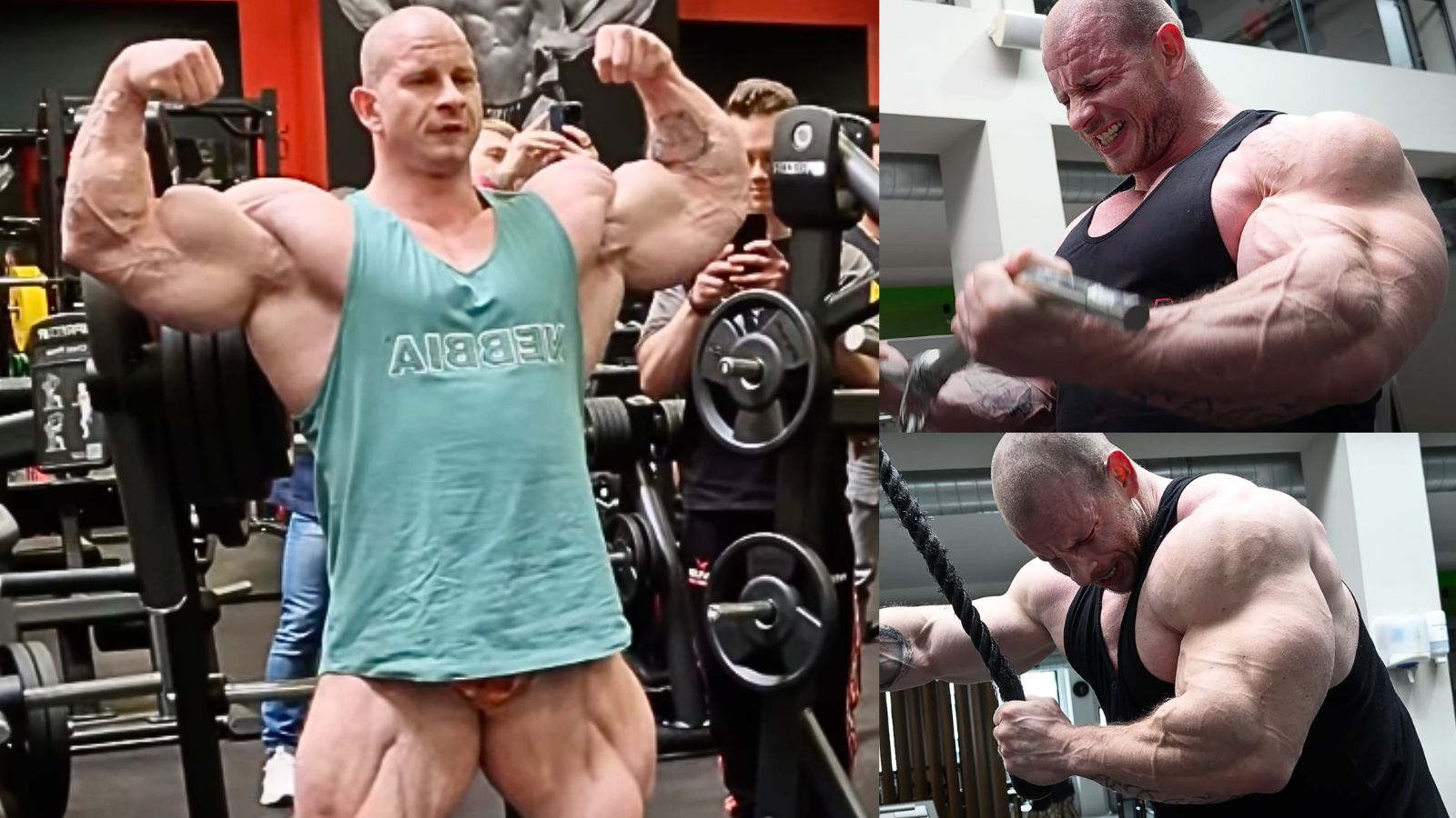 Michal Krizo Shares Bulking Arms Workout for Massive Triceps and Biceps ...