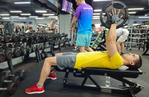 Plate Press Guide: How To, Benefits, Muscles Worked, Mistakes