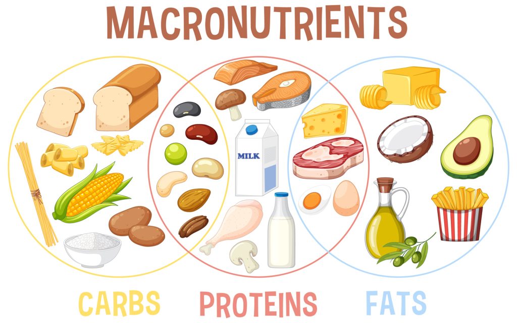 Do Macro Tracking for a Balanced Diet and Effective Weight Loss