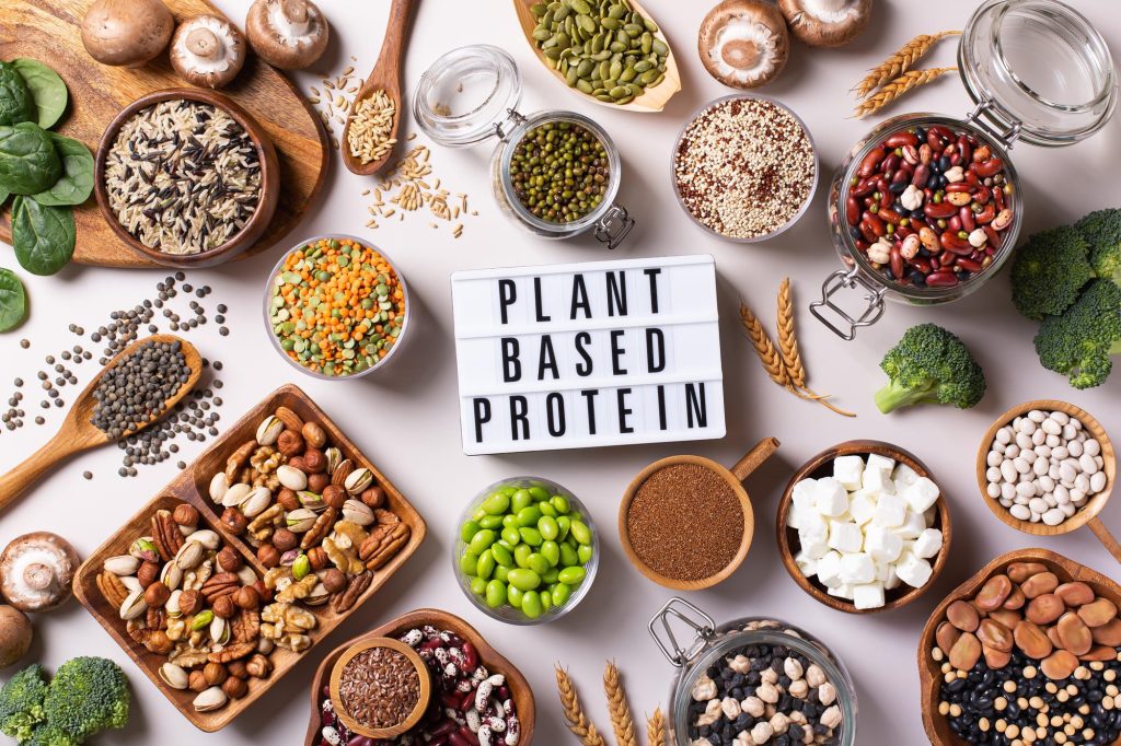 Do Plant-Based Protein Powders for Allergy-Friendly Muscle Gain