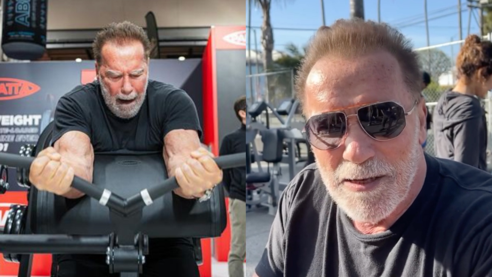 Arnold Schwarzenegger Reveals 'Performance Benefits Of Cutting Carbs at Night,' Says It Could ...