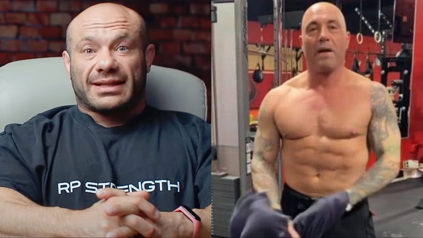 Exercise Scientist Breaks Down and Critiques Joe Rogan's Carnivore Diet ...