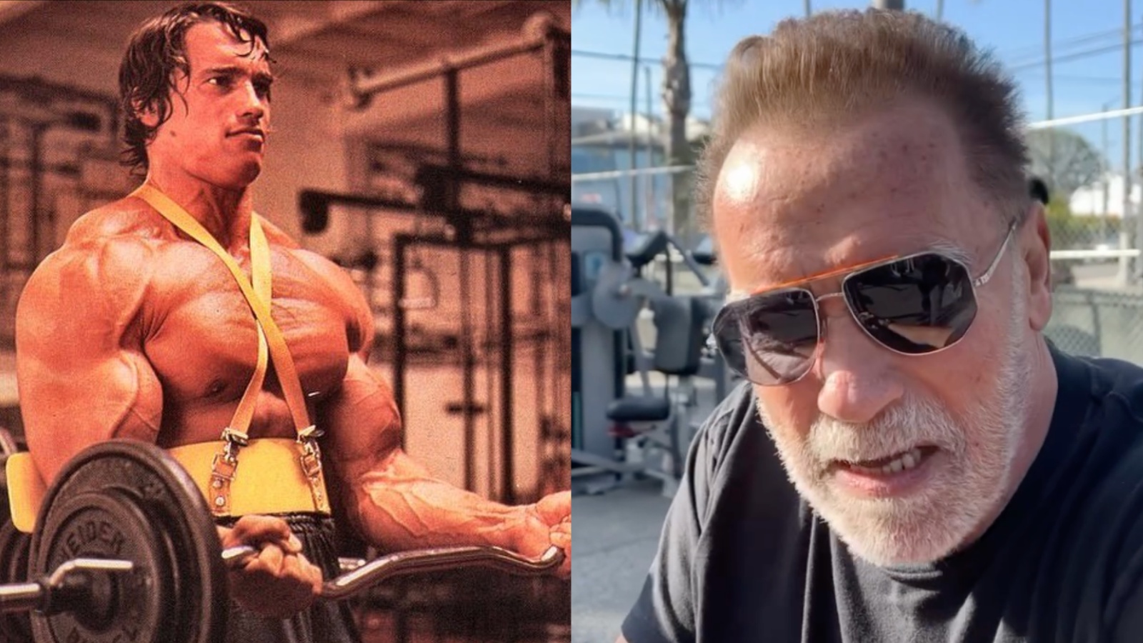 Arnold Schwarzenegger's Secret Weapon: The VO2 Max Booster Supplement ...