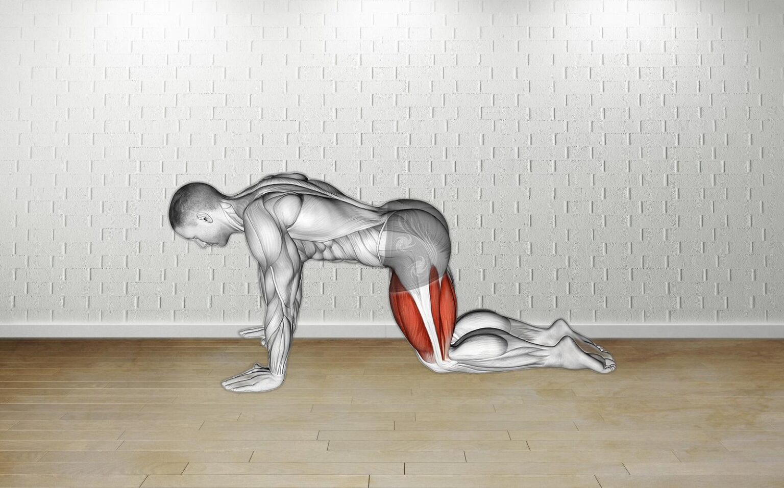 Ultimate Quad Exercises for Powerful Leg Strength – Fitness Volt