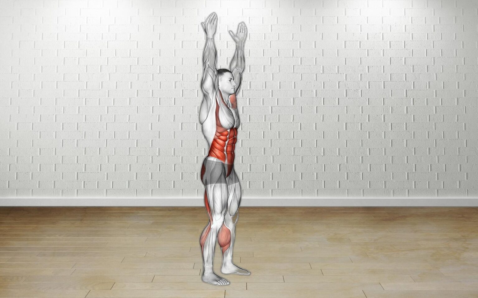Ultimate Quadriceps Exercises for Powerful Legs – Fitness Volt