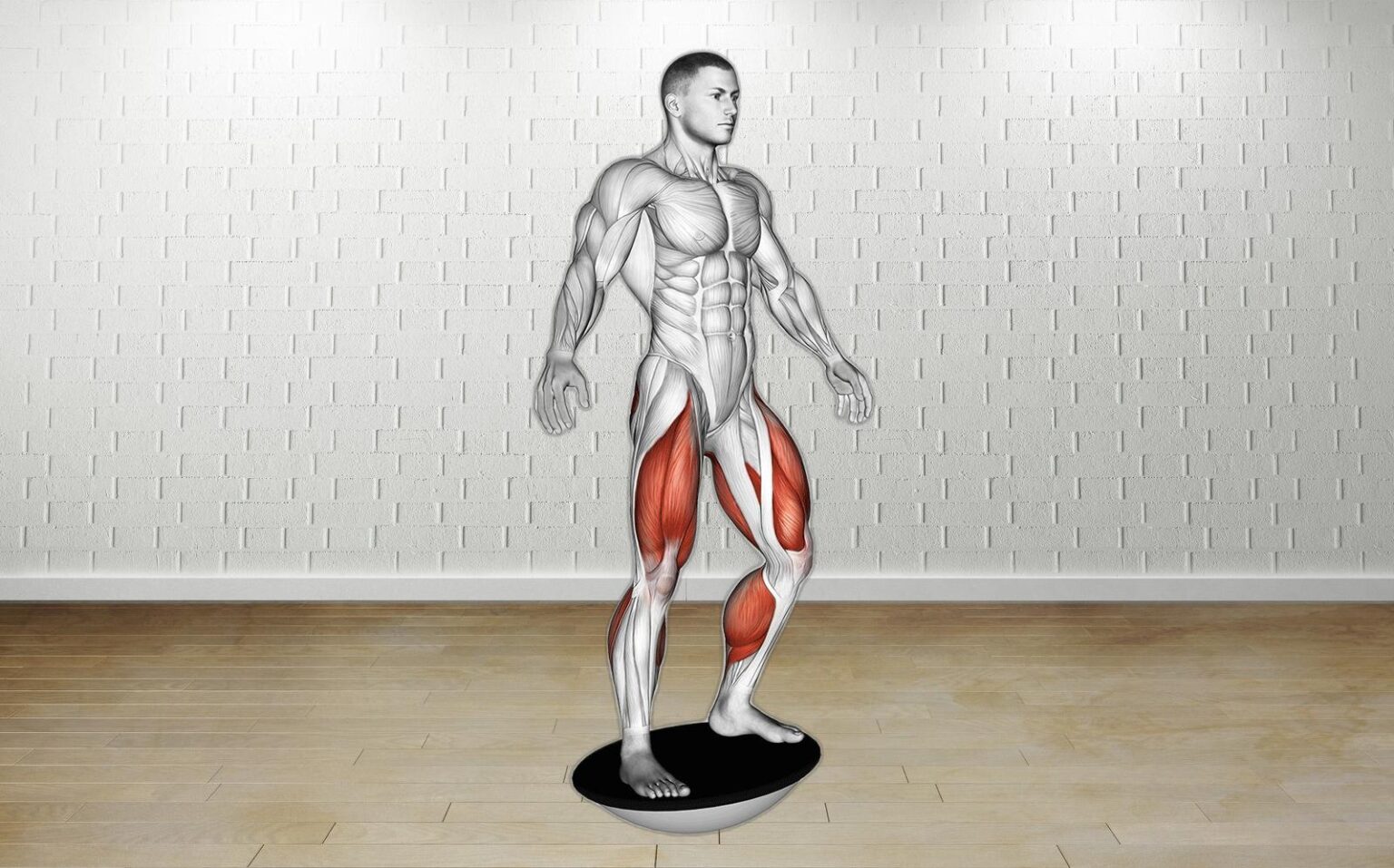 Ultimate Quad Exercises for Powerful Leg Strength – Fitness Volt